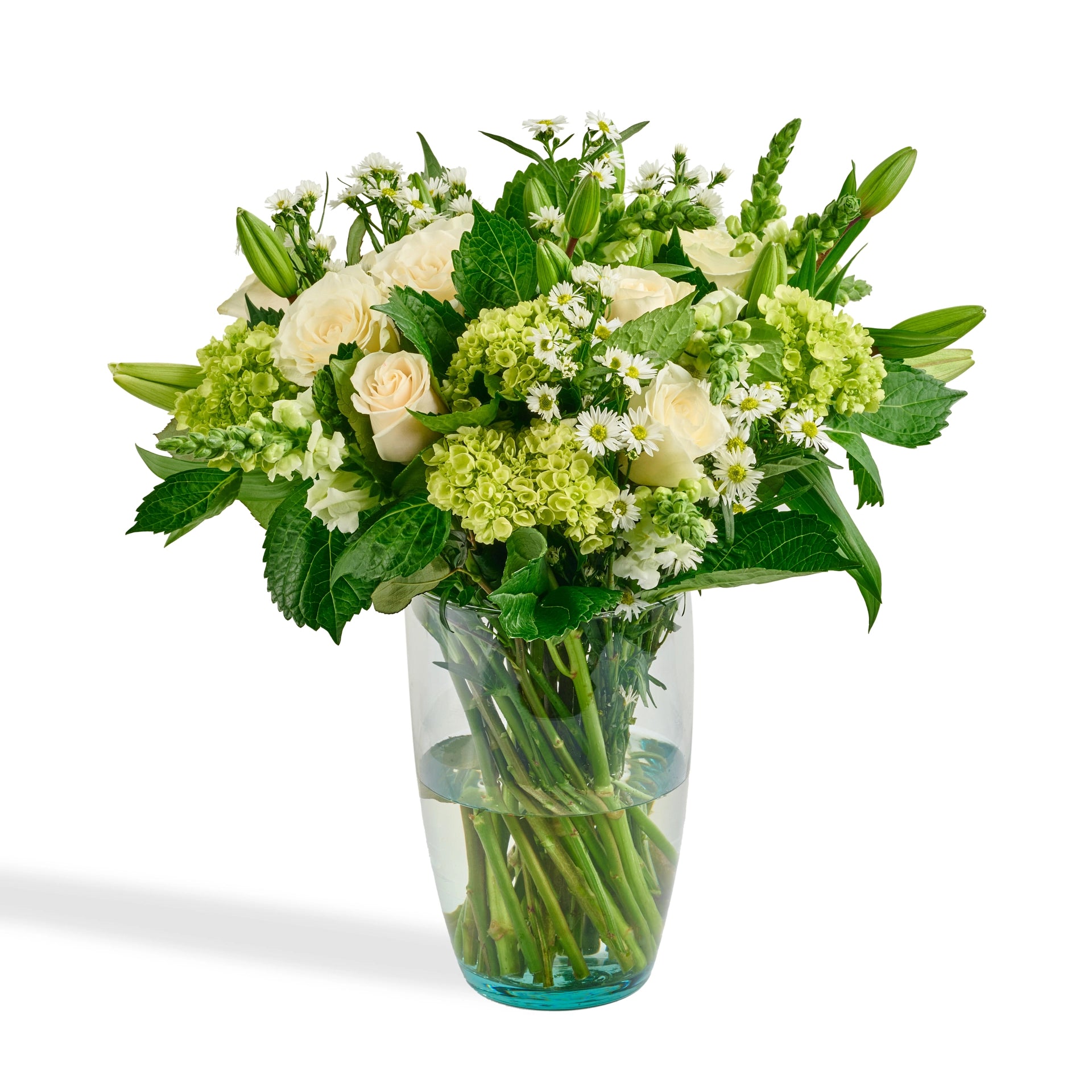 INFINITY – Bloomngo